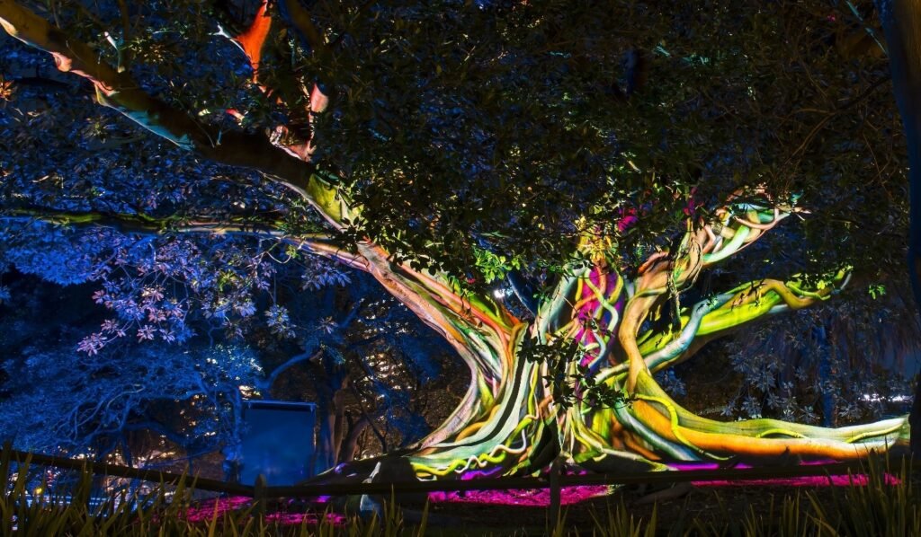 How Projection Mapping Works