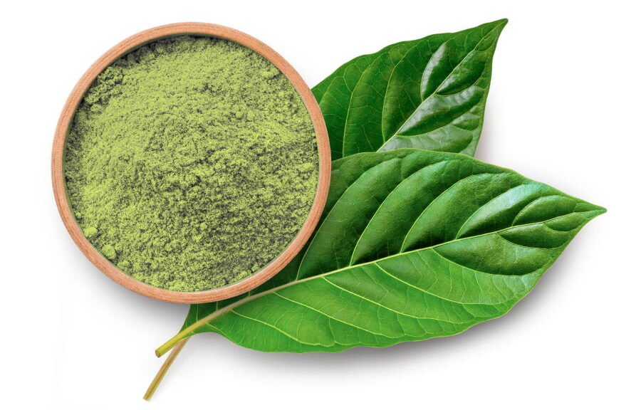 How Kratom Powder is Amazing Botanical? - Geeks Around World