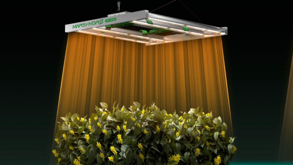 Types of LED grow lights and their efficiency in indoor farming